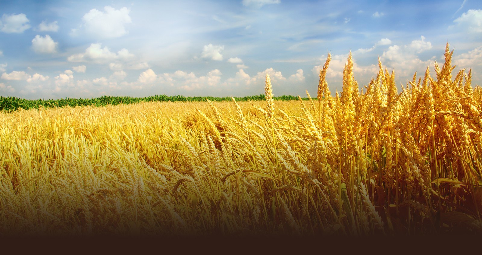 Beach, ND | Official Website